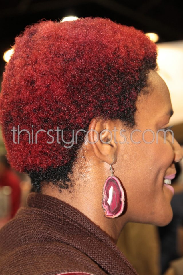 Natural Afro Hairstyles for Black Women To Wear